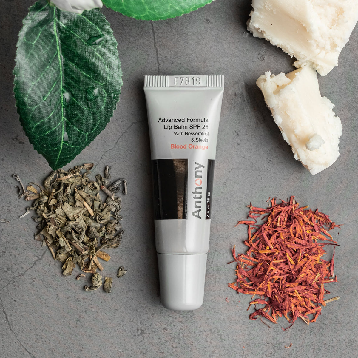 Blood Orange Advanced Formula Lip Balm with SPF 25 – Anthony EU